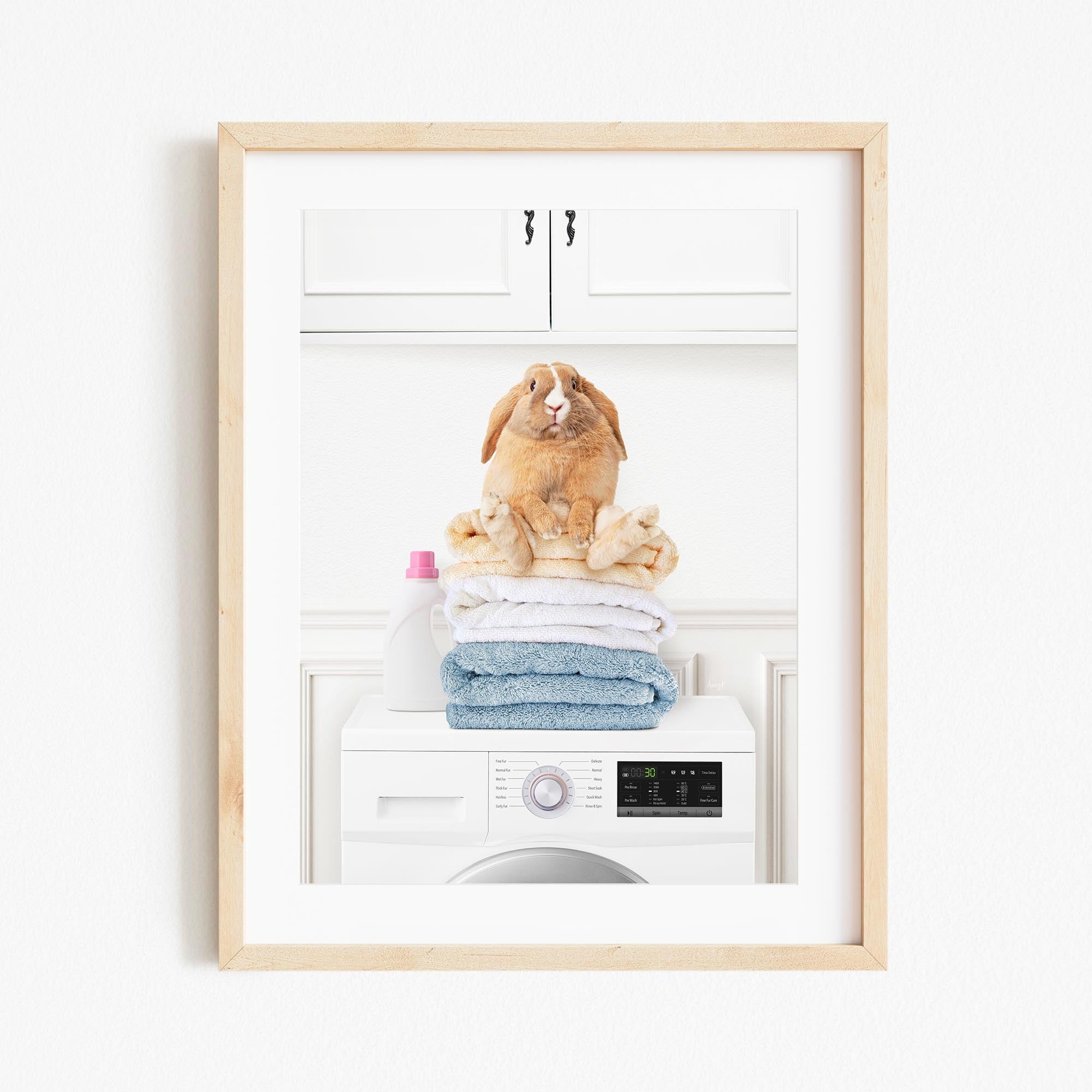Pudgy Bunny on Folded Towels on Washing Machine - Simple White Wall ...